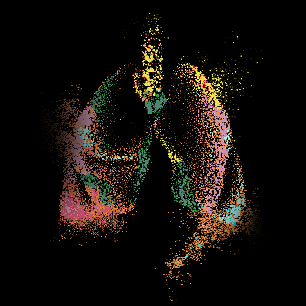Lungs in the Air | the lung association